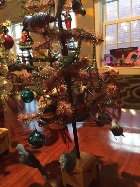 Podcast 98: Have a Quest, an Interview with Gary Taubes about the Case ...