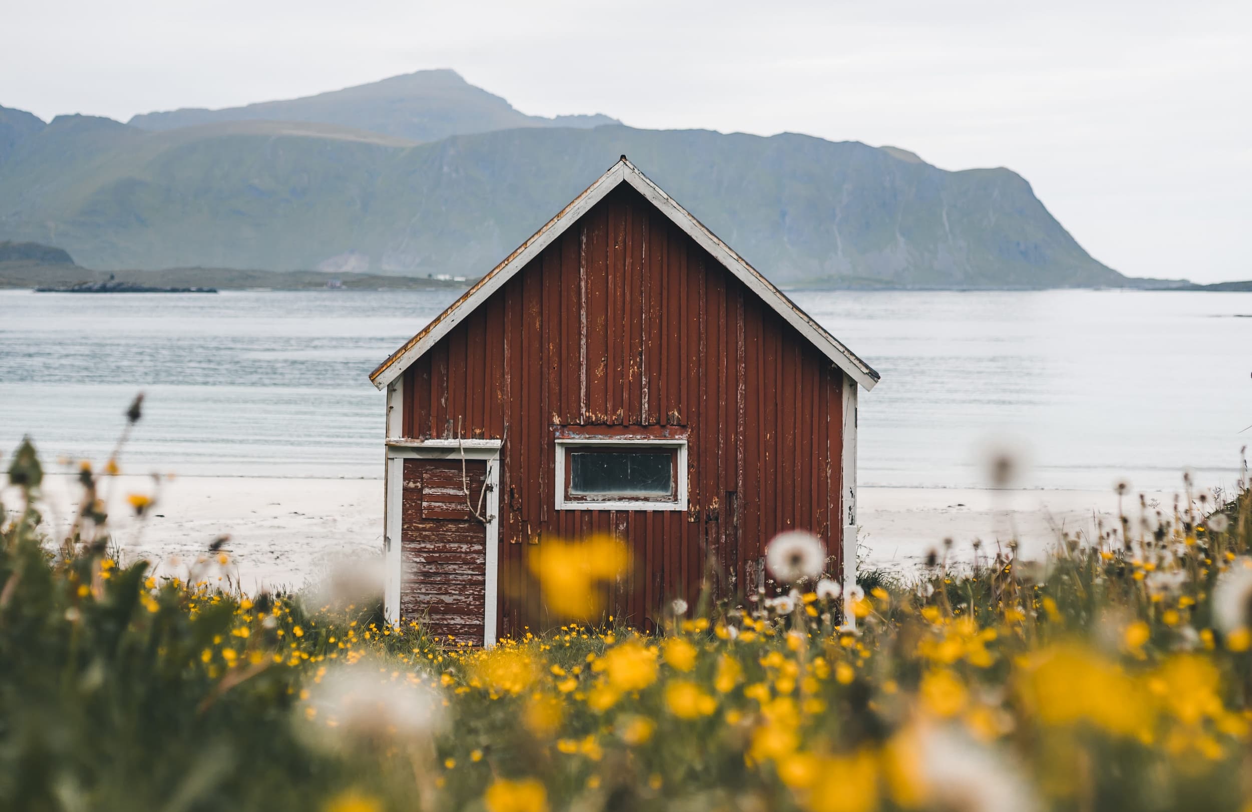 A Little Happier: A Beautiful Image—A Cabin in the Woods, with Flowers ...
