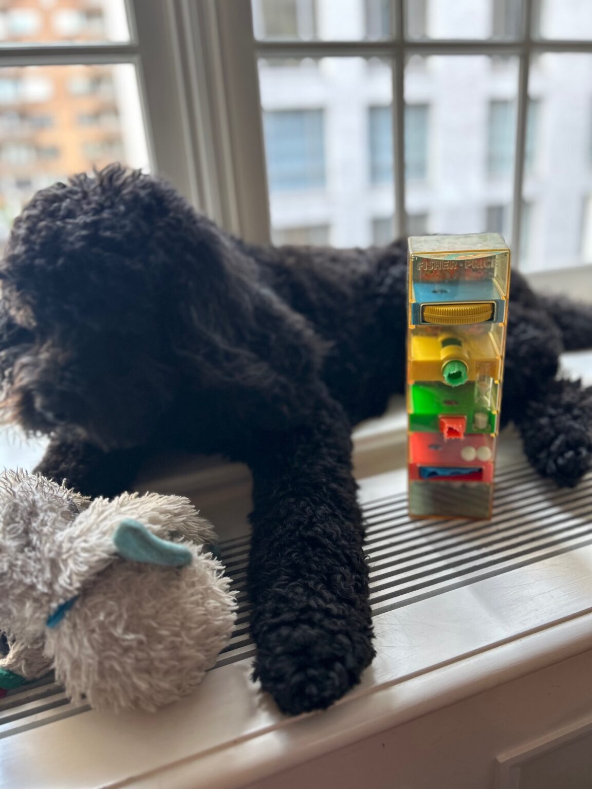 A Five-Senses Portrait of My Dog, Barnaby | Gretchen Rubin