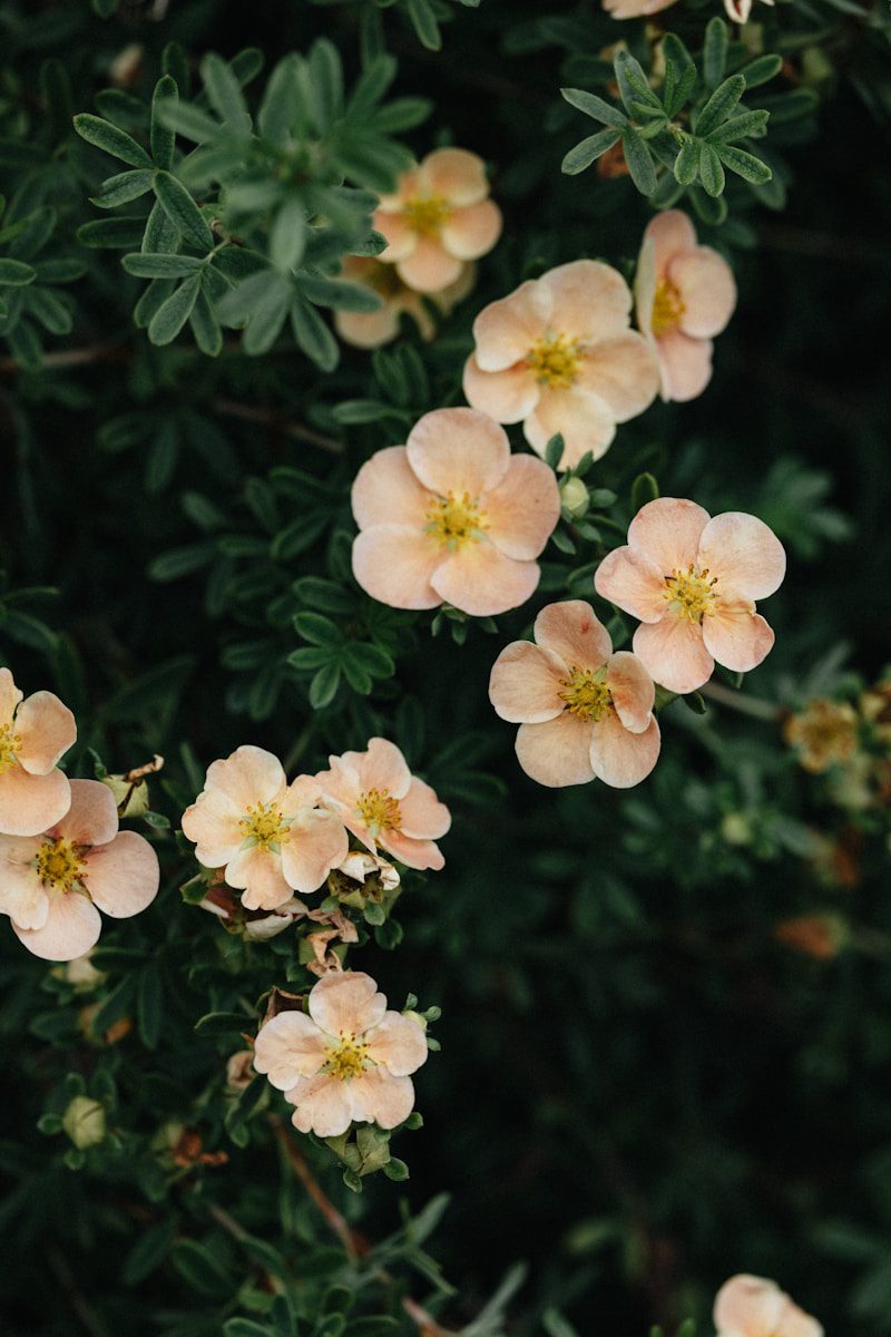 More Happier: ”Walk” Therapy, Comfort vs. Adventure, and the Joy of ...